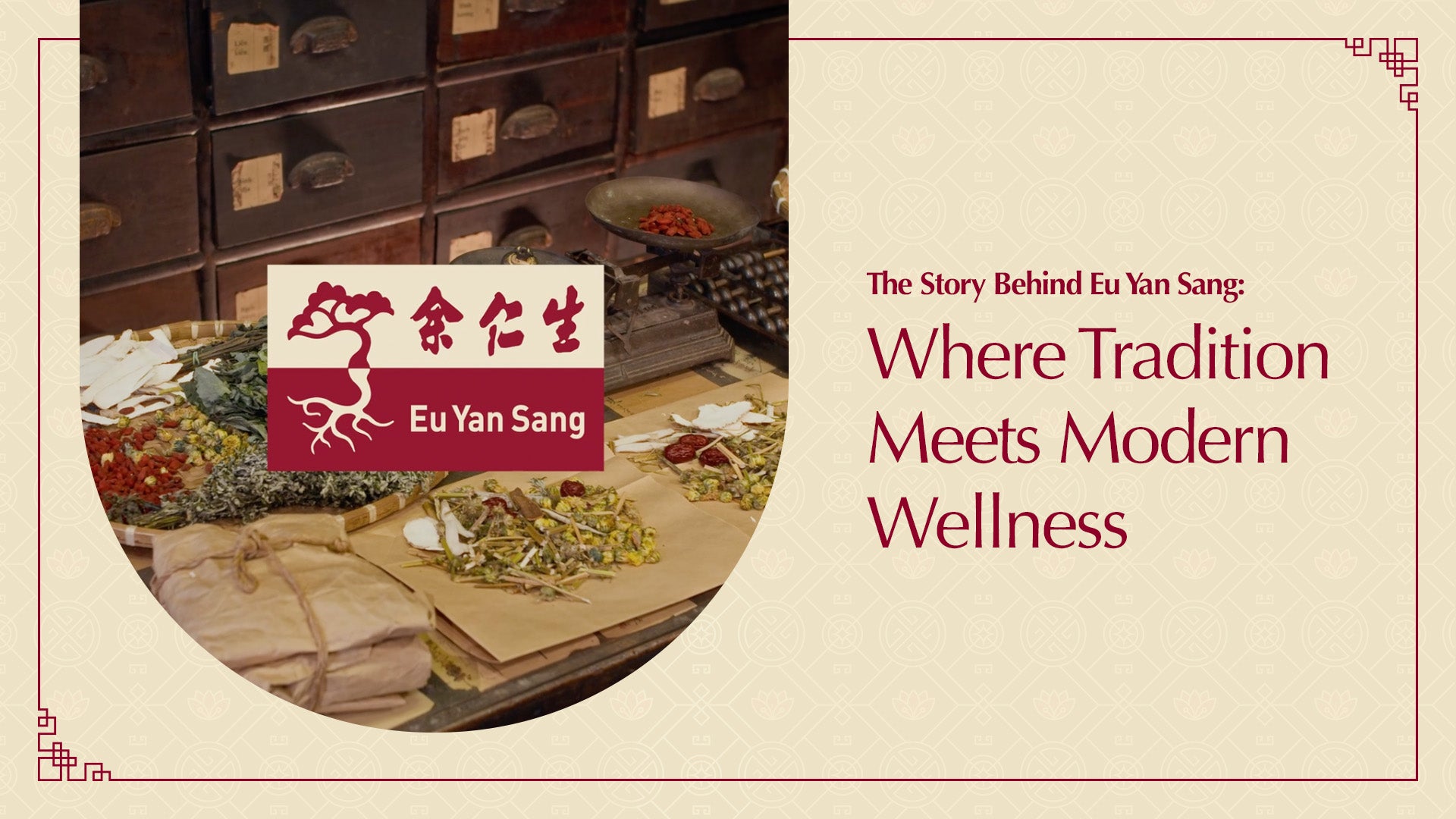 "The Story Behind Eu Yan Sang: Where Tradition Meets Modern Wellness ...